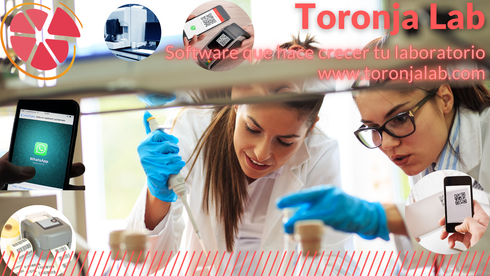 Toronja Lab – Software que mejora tu laboratorio